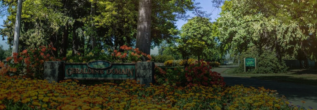 Domain Trail | Geraldine Sculpture Trail